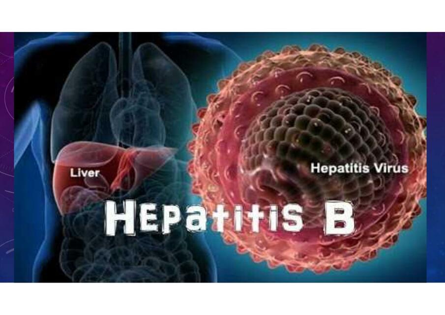 Hepatitis B | Medical Coffe | uDocz
