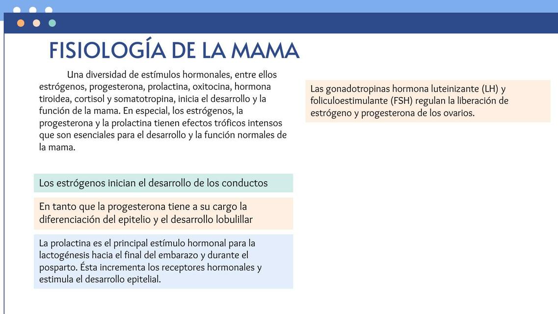FISIOLOGÍA DE LA MAMA | Medicina Óptima | uDocz
