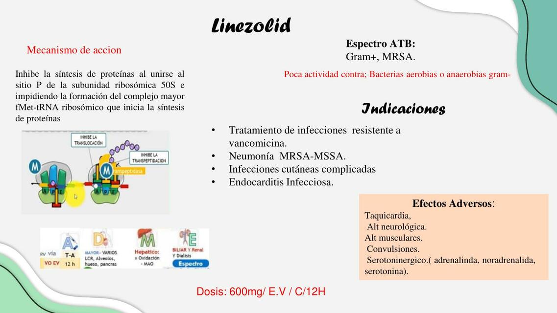 Linezolid Antibioticoterapia | Medicina Óptima | uDocz