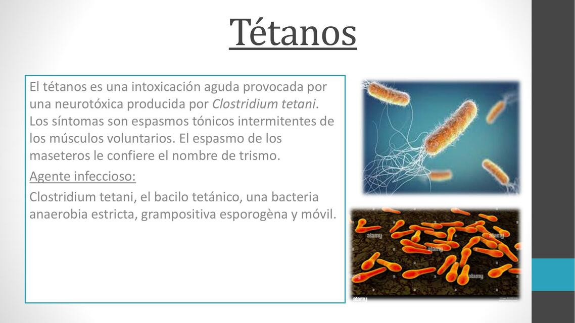 Tétanos | Medicina Óptima | uDocz