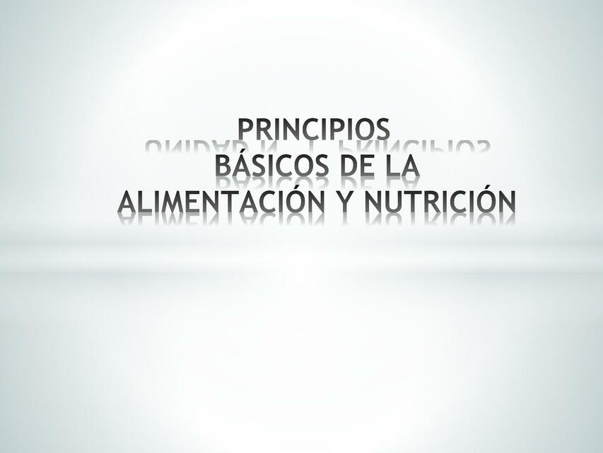 Principios Básicos de la Alimentación y Nutrición | zhamu | uDocz