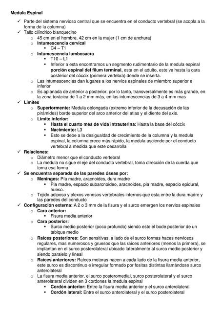 Médula espinal | Emilia Apolo | uDocz