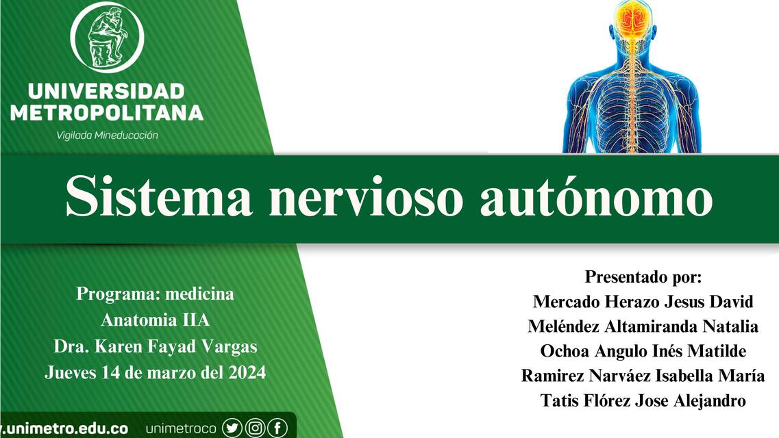 Sistema nervioso autónomo | isabela narvaez | uDocz