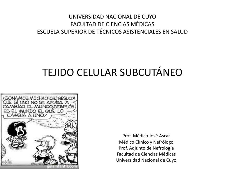 Tejido celular subcutáneo | MiniEnfermera | uDocz