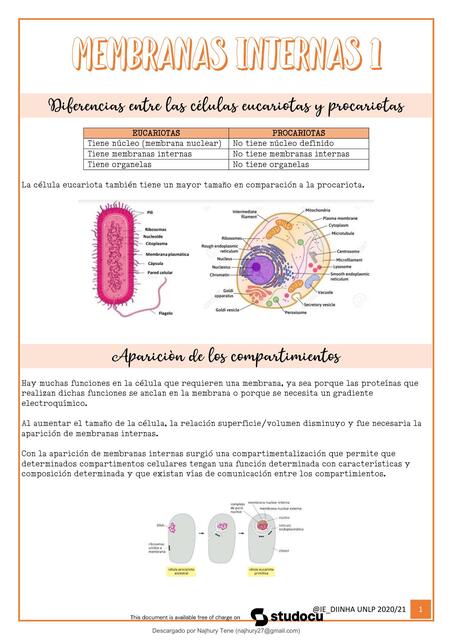 Membranas internas 1 | Najhury | uDocz