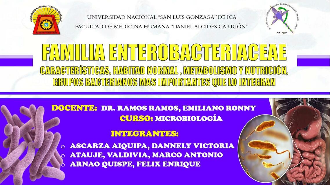 FAMILIA ENTEROBACTERIACEAE | Alezka | uDocz