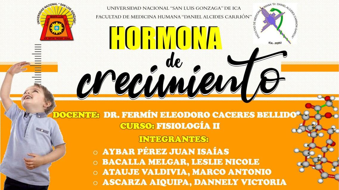 FISIOLOGIA DE LA HORMONA DE CRECIMIENTO | Alezka | uDocz