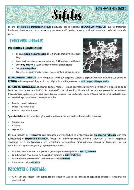 Sífilis - SXM | Sofia Montenegro | uDocz