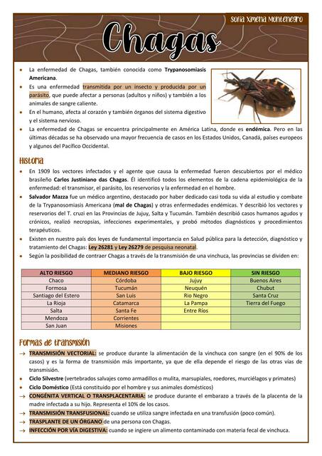 Chagas - SXM | Sofia Montenegro | uDocz