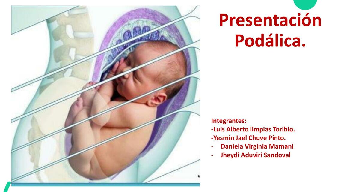 Presentación Podálica Rous Alis Udocz
