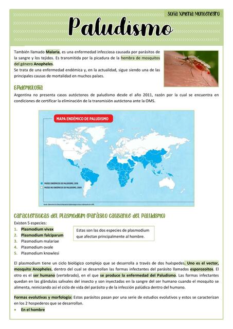 Paludismo - SXM | Sofia Montenegro | uDocz
