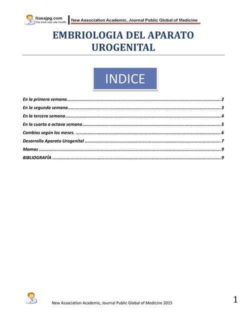 Embriologia del aparato urogenital | Fernanda Azucena Rico Arroyo | uDocz