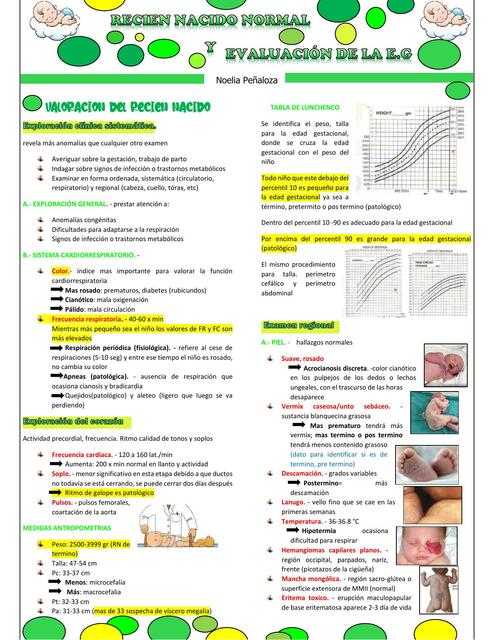 Recien nacido normal y evaluacion de la EG | marco zeballos | uDocz