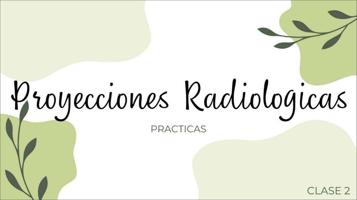 Proyecciones radiologicas | Melina | uDocz