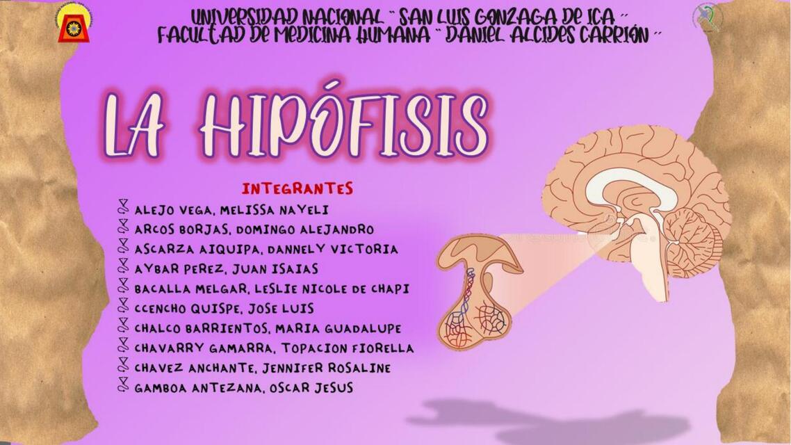 La hipófisis | Alezka | uDocz
