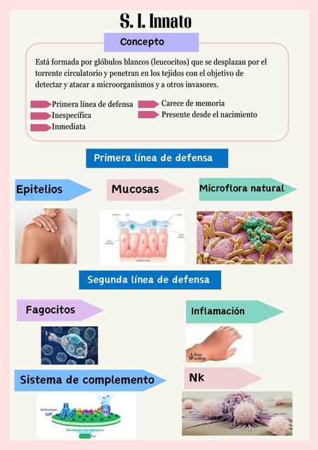Sistema Inmunológico Innato | Emma Cervantes | uDocz