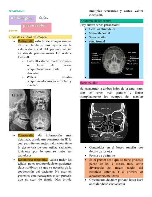 Anatomía Radiológica de Senos Paranasales | Montserrat Hernández | uDocz
