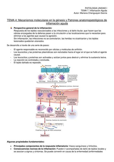 Inflamación aguda | Mariana Chenguayen | uDocz