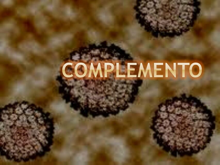 Complemento | Alejandra Rodriguez | uDocz