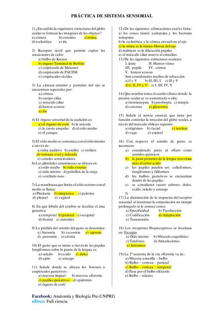 Práctica de sistema sensorial | Full ciencia | uDocz