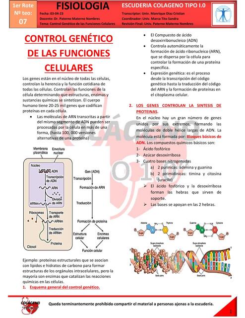 Control genético de las funciones celulares | LU | uDocz