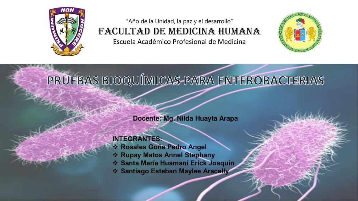 Pruebas bioquimicas para enterobacterias | Pedro Rosales Goñe | uDocz