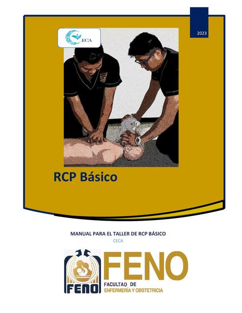 Manual RCP Básico | Armando Gabriel Galván Cruz | uDocz