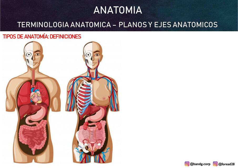 Terminología anatómica – planos y ejes anatómicos | Jeyner Condor Ortiz ...