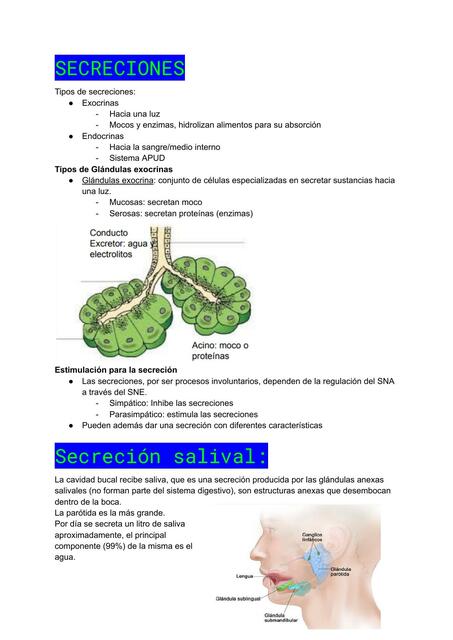 Secreciones | Laisa Schneir | uDocz