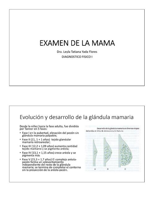 Examen de mama | Adriana Beatriz González Rodríguez | uDocz