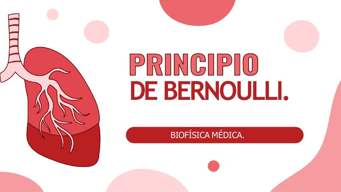 Resúmenes de Bernoulli | Descarga apuntes de Bernoulli