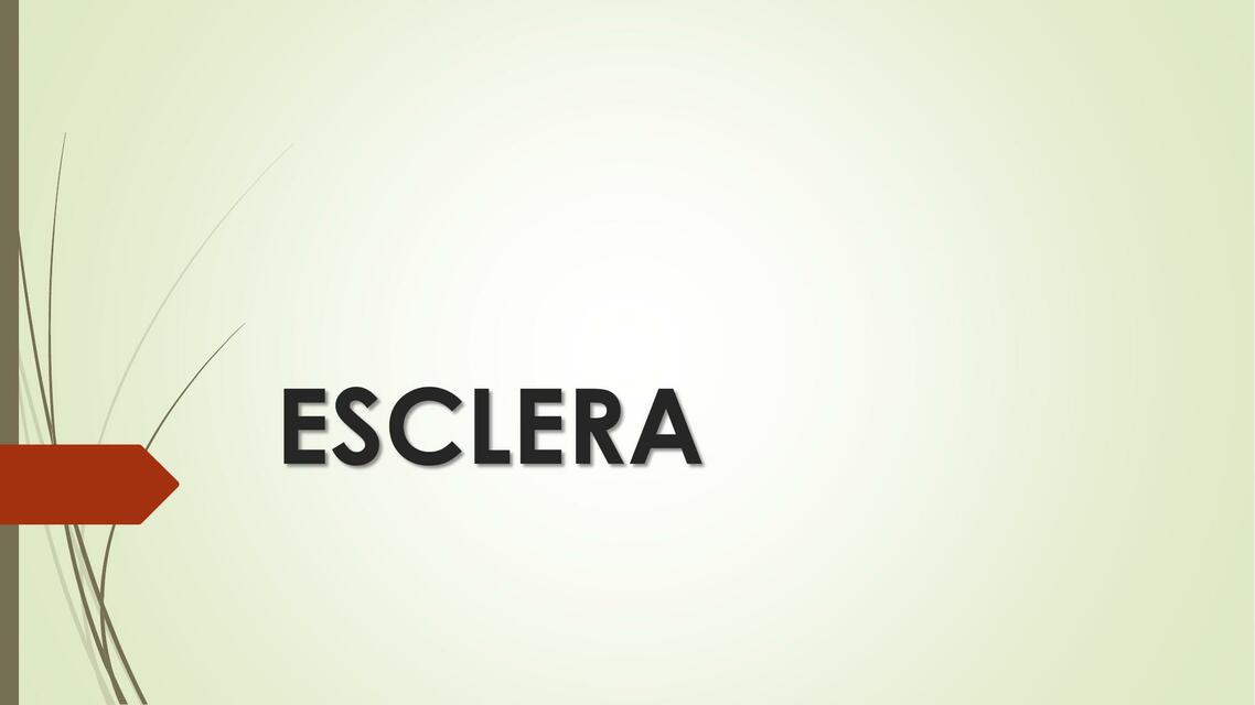 Esclera | Medaly Hancoo Ortiz | uDocz