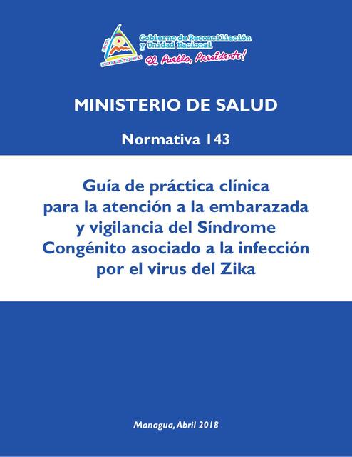 Guía de Práctica Clínica para la Atención a la Embarazada y Vigilancia ...