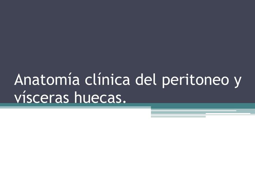 Anatomía del Peritoneo y las vísceras huecas | Margot Alcántara | uDocz