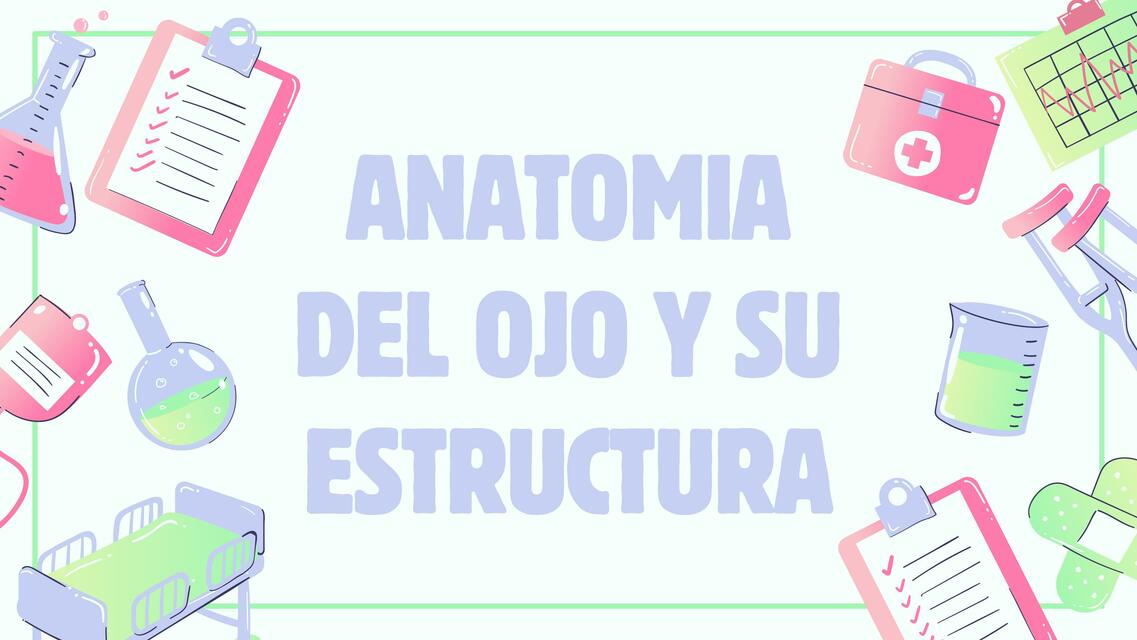 Anatomia del ojo y su estructura | paulina velasquez | uDocz