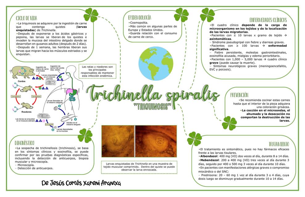 Resúmenes de Triquinosis | Descarga apuntes de Triquinosis