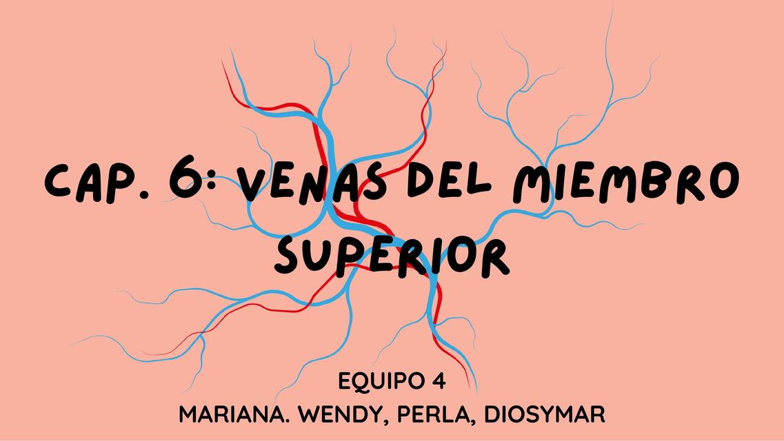 Venas del Miembro Superior | mariana hernandez | uDocz