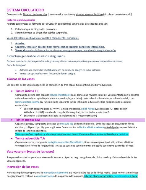 Flashcards de Sistema circulatorio | Por Yuly Pari Caller | uDocz