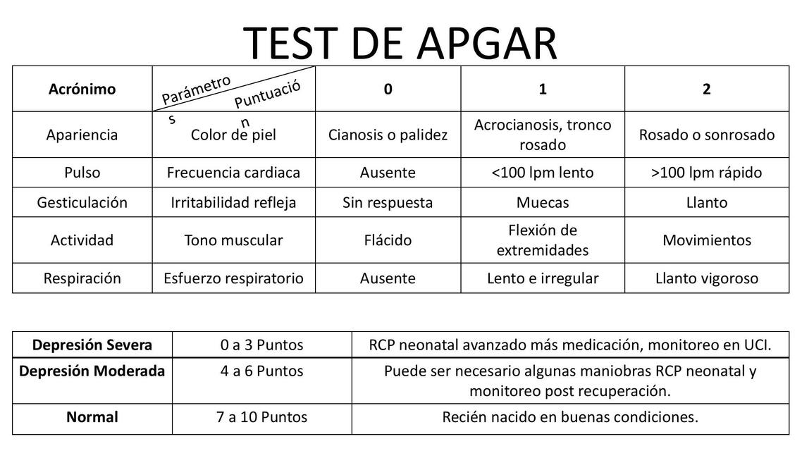 Test de APGAR | FRESCIA VASQUEZ | uDocz