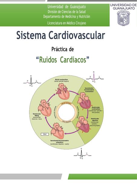 Práctica de Ruidos cardíacos | Interleucina | uDocz