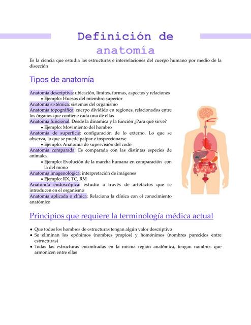 ¿Qué es anatomía? | Velázquez Valdez | uDocz