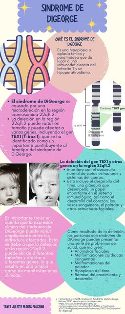 Infografía Síndrome De Digeroge Tamy Flores Udocz