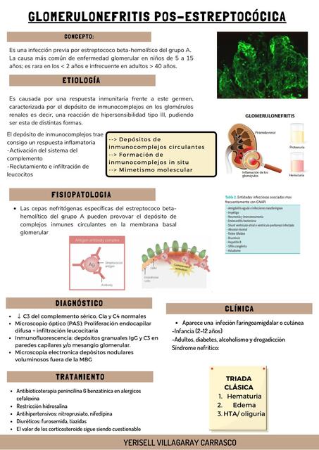 Glomerulonefritis | yeri villa carrasco | uDocz