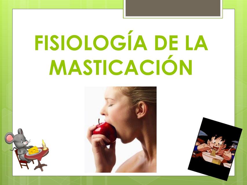 FISIOLOGÍA DE LA MASTICACIÓN | Douglass @dr.douglassjaime | uDocz