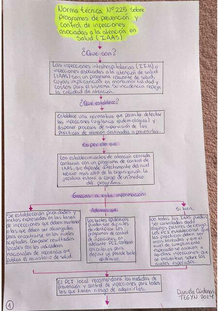 Mapa conceptual Norma 225 IAAS | Dani | uDocz