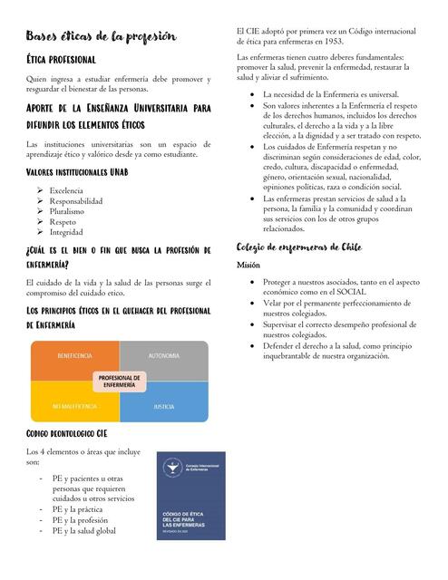 Bases Éticas de la Profesión | Fernanda Jara Troncoso | uDocz