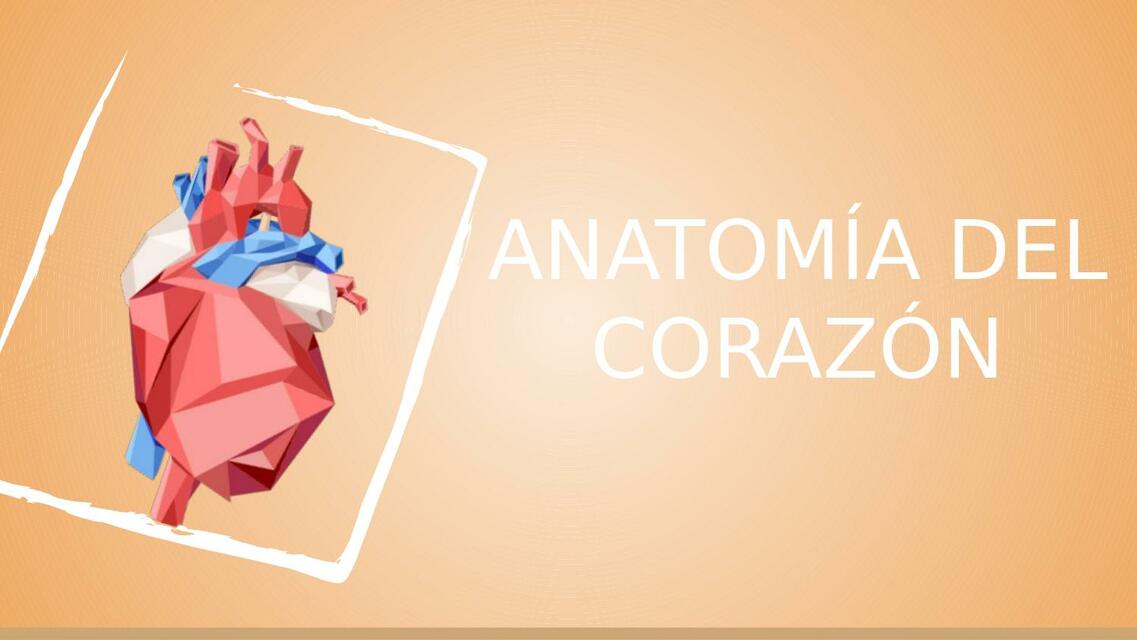 Anatomia de corazon - Anatomia | GuiasMed | uDocz