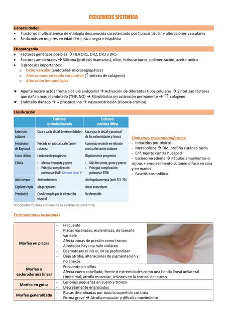 Dermatología | uDocz