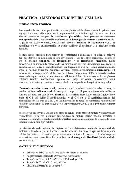 Practica 1: Métodos de ruptura celular | Joe | uDocz