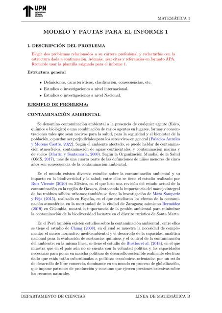 Modelo y pautas para el informe | luciana | uDocz